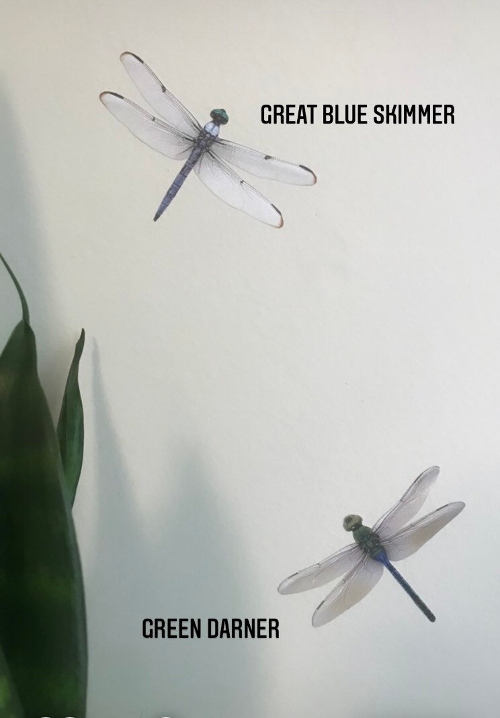 Wall Art Décor 2 Dragonfly Stickers - Insect Decal - Bug Collection ...