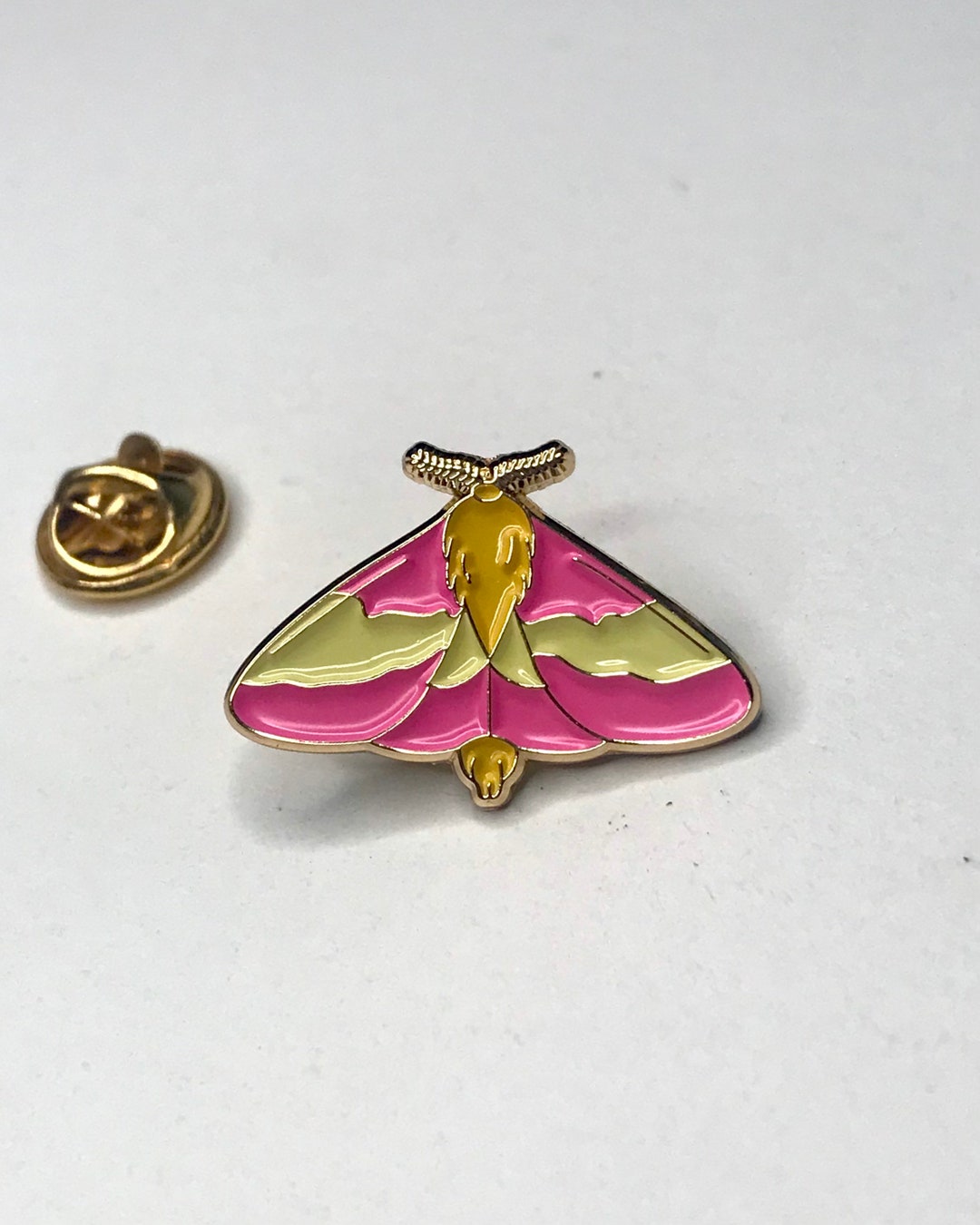 NEW! Rosy Maple Moth Enamel Pin. Dryocampa Rubicunda. Saturniidae. - Etsy