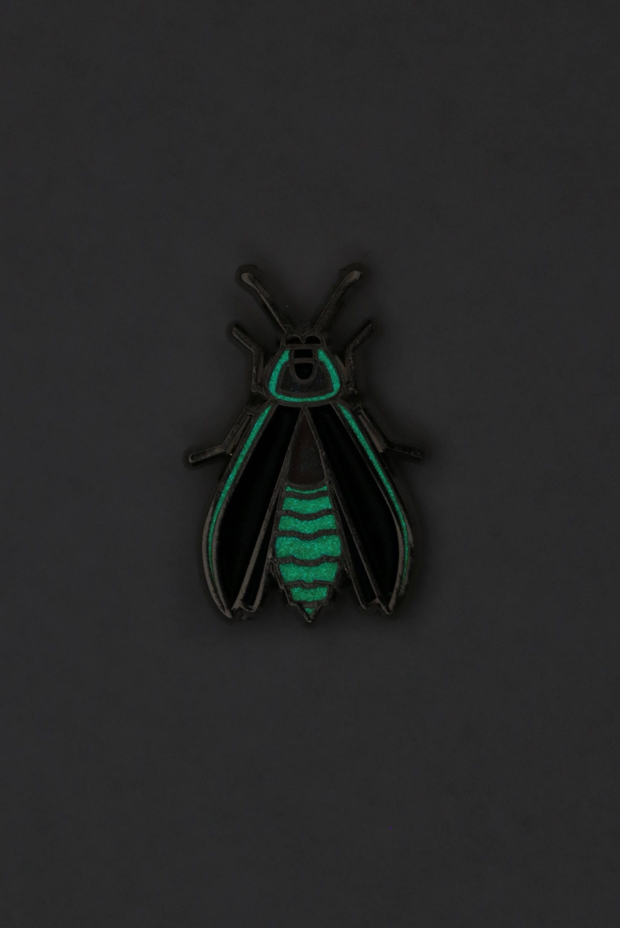 Glow in the Dark Firefly Enamel Pin. Lightning Bug. Light Bug. - Etsy