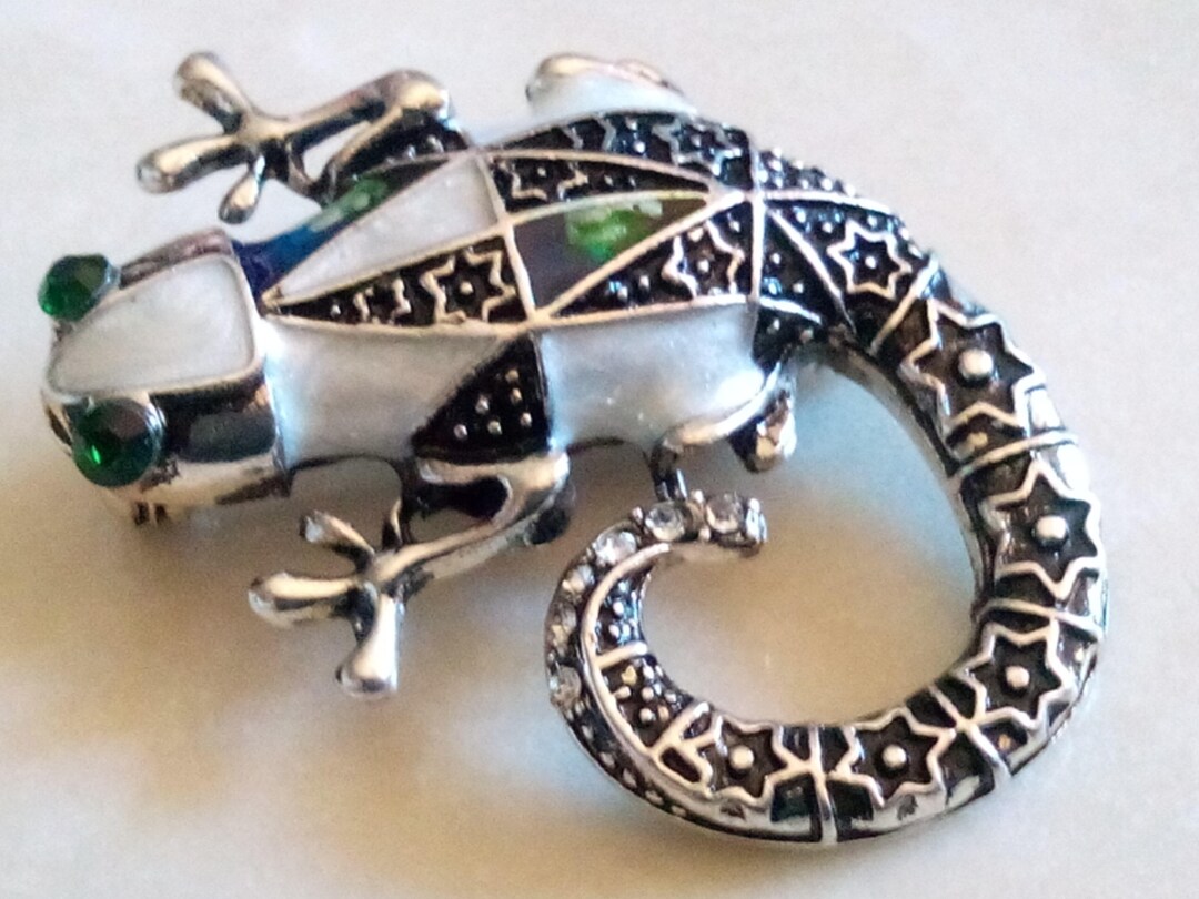 ENAMELED SALAMANDER BROOCH. Wonderful Pin/accessory. Beautiful - Etsy
