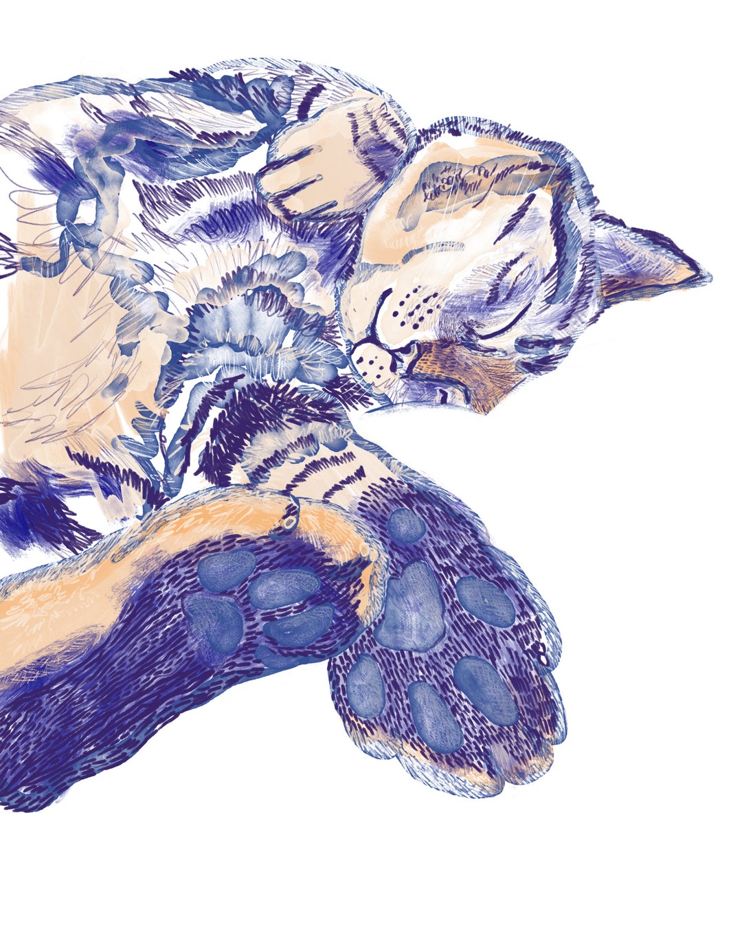 Toe Beans, A5 Print, Tabby Cat, Cat Art Print, House Warming Gift - Etsy