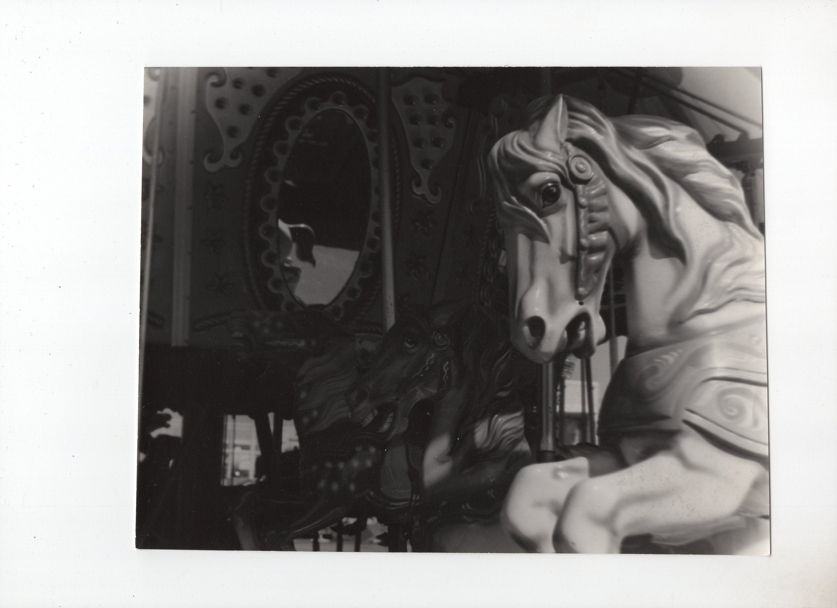 Vintage Gothic Carousel Horse Ride Photo Original Large Format Black ...