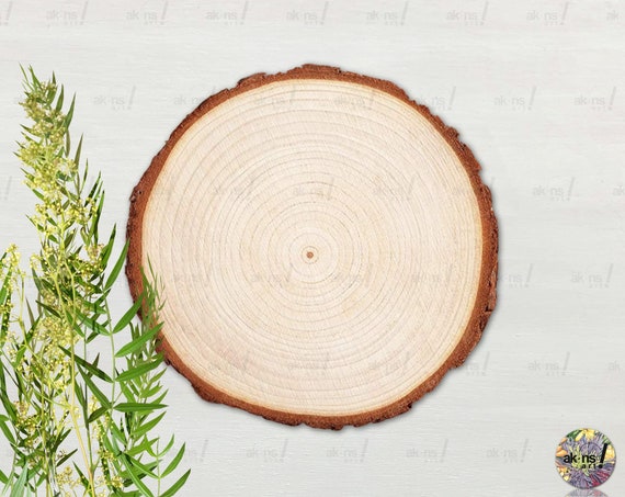 Wood Blank Slice Mockup Background Photography Natural Wood - Etsy