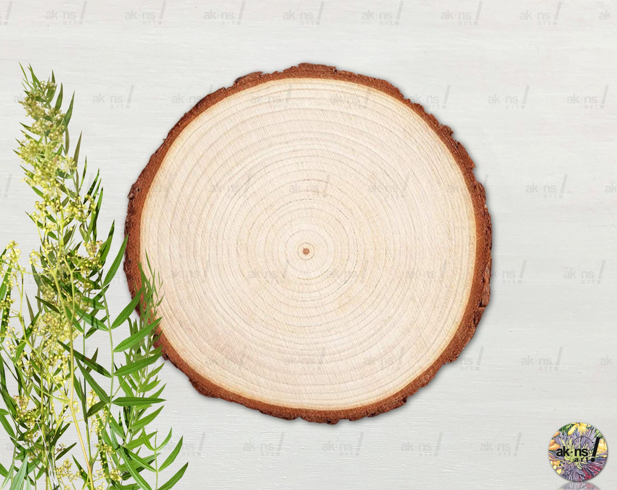 Wood Blank Slice Mockup Background Photography, Natural Wood, Font ...