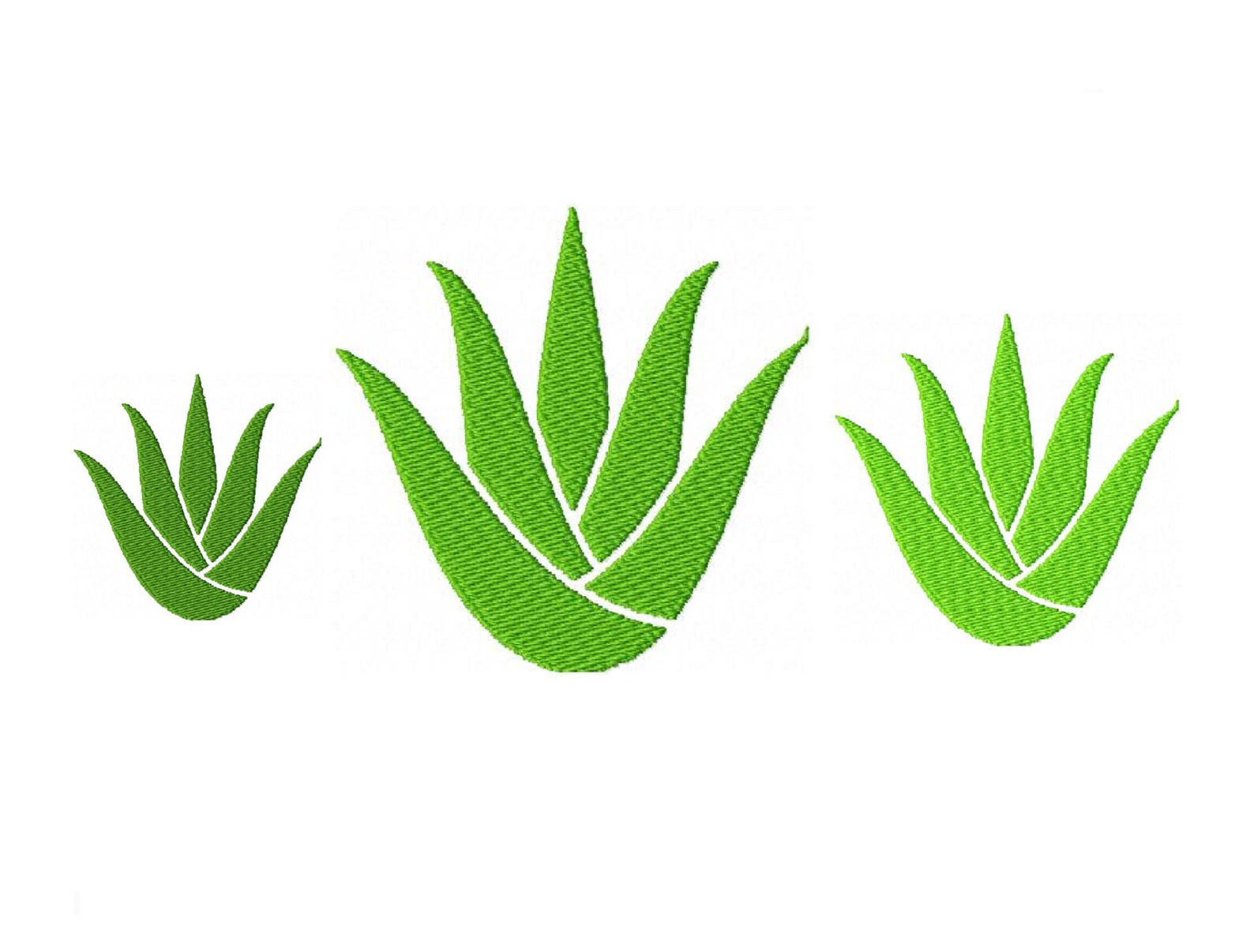 Aloe Vera Machine Embroidery Design Aloe Plant Design Mini | Etsy