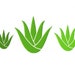 Aloe Vera Machine Embroidery Design Aloe Plant Design Mini Aloe Vera ...