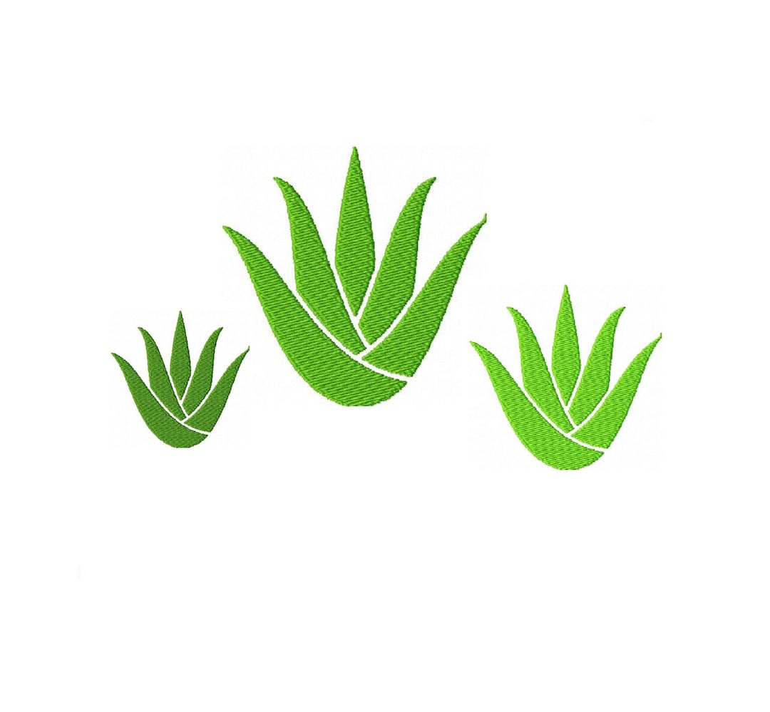 Aloe Vera Machine Embroidery Design Aloe Plant Design Mini Aloe Vera ...