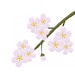 Sakura Branch Machine Embroidery Design Cherry Blossom Embroidery ...