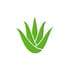 Aloe Vera Machine Embroidery Design Aloe Plant Design Mini Aloe Vera ...