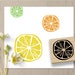 Citrus Stamp Lemon Stamp Orange Stamp Lime Stamp Fruit | Etsy