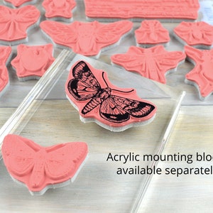 Vintage Insect Rubber Stamps Tim Holtz Cling Stamps Entomology - Etsy