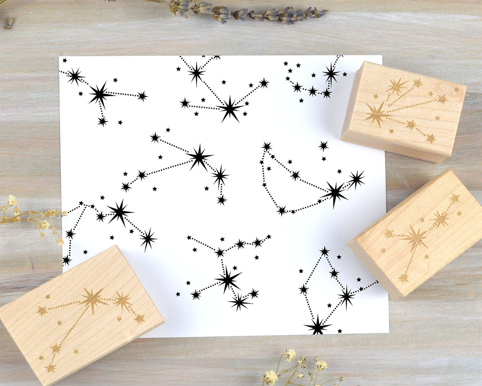 Constellation Zodiac Rubber Stamp, Astronomy Stamp, Celestial Astrology ...