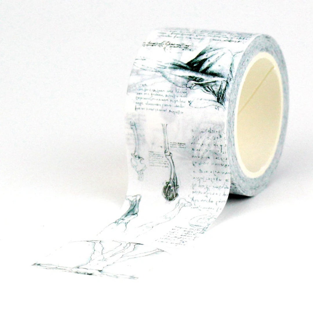 Anatomy Washi Tape Wide 30mm Ancient Davinci Drawing, Macabe History ...
