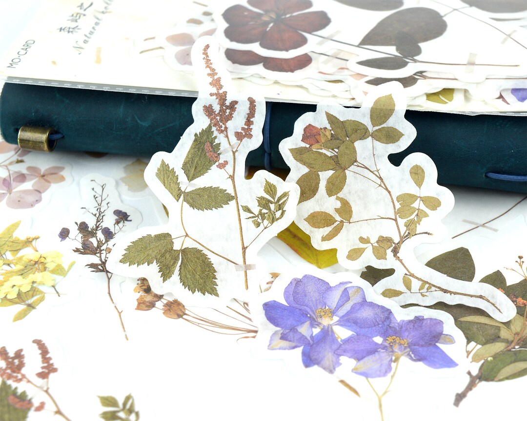 Pressed Flower Washi Stickers 60 Pcs, Dried Floral Botanical Stickers ...