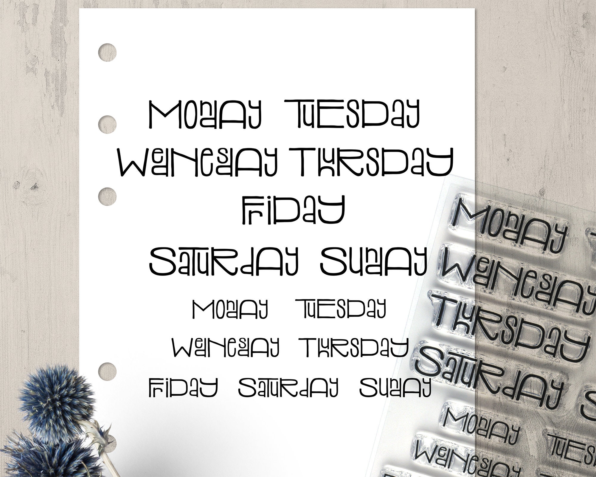 Saba Weekday Clear Stamp Set 4x4in Days of the Week Bullet | Etsy