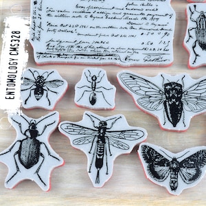 Vintage Insect Rubber Stamps Tim Holtz Cling Stamps Entomology - Etsy