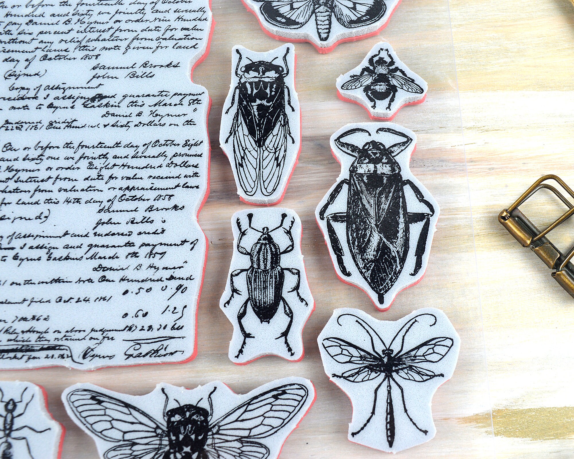 Vintage Insect Rubber Stamps Tim Holtz Cling Stamps | Etsy