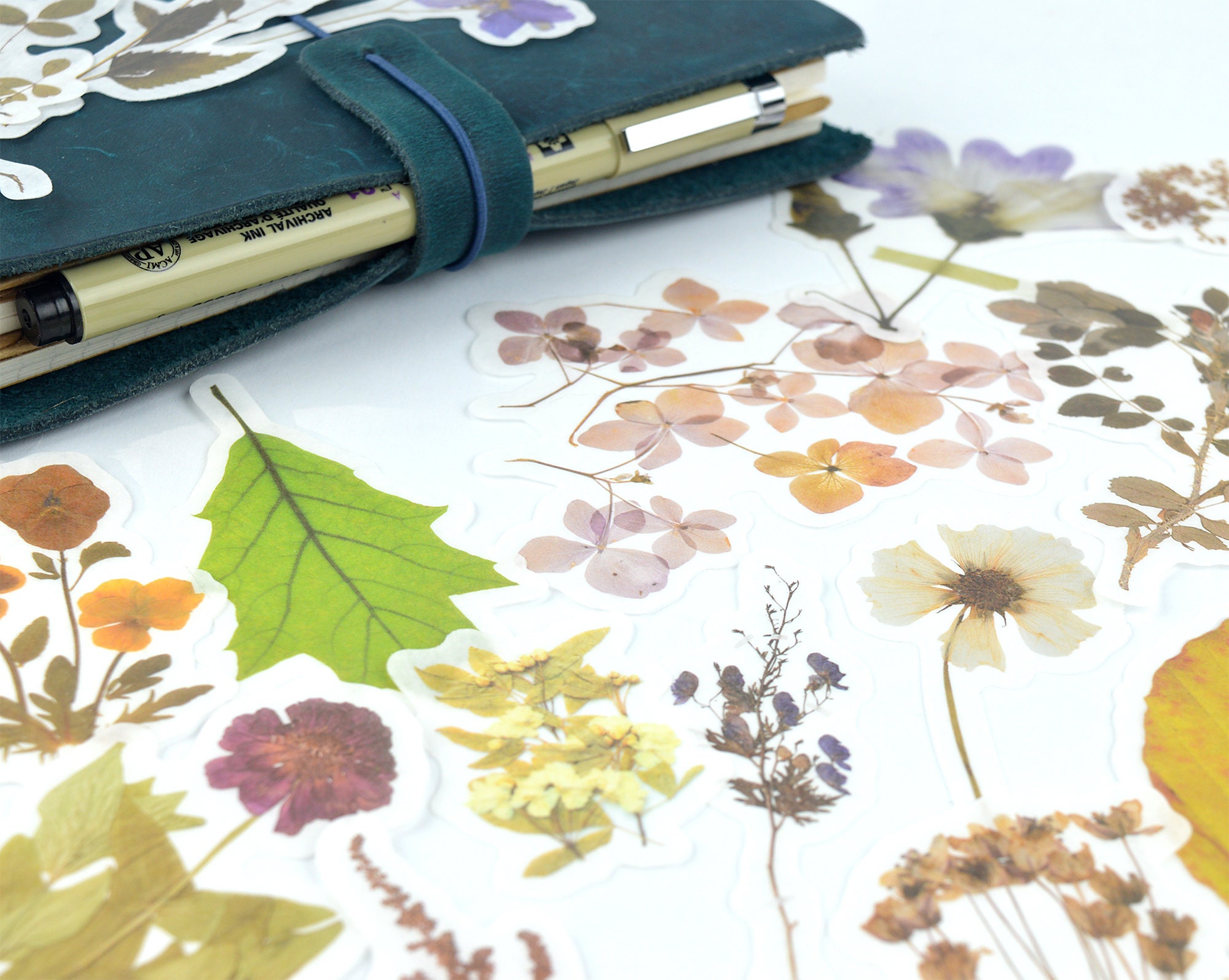 Pressed Flower Washi Stickers 60 pcs Dried Floral Botanical | Etsy