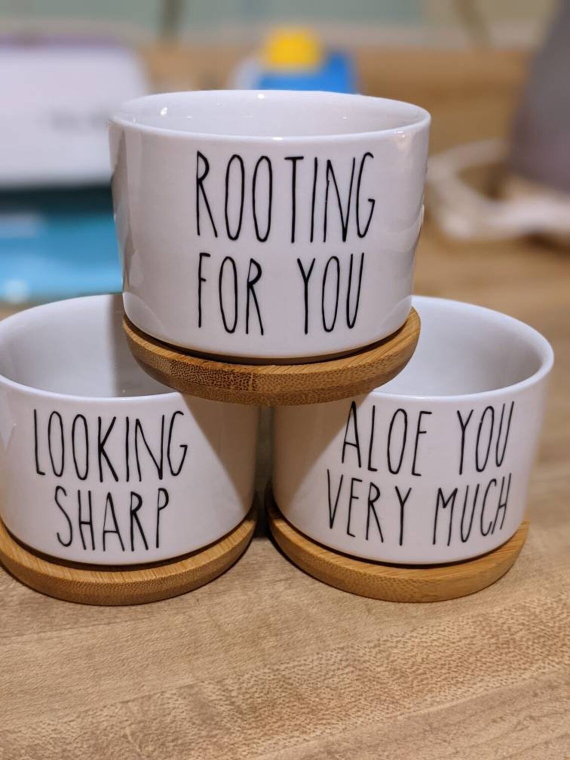 Funny succulent planters. Free shipping | Etsy