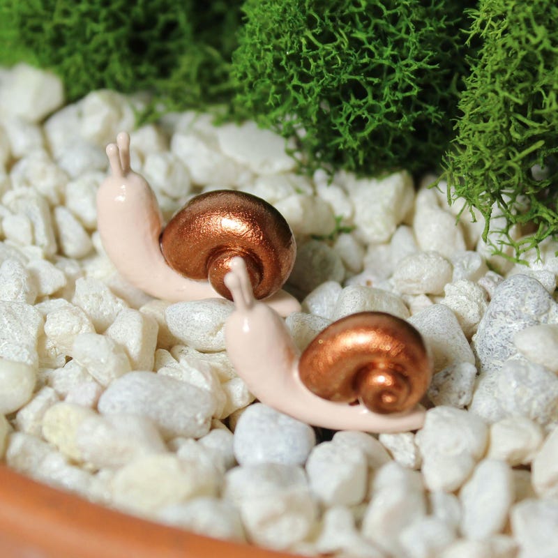 Fairy Garden Snails - Etsy