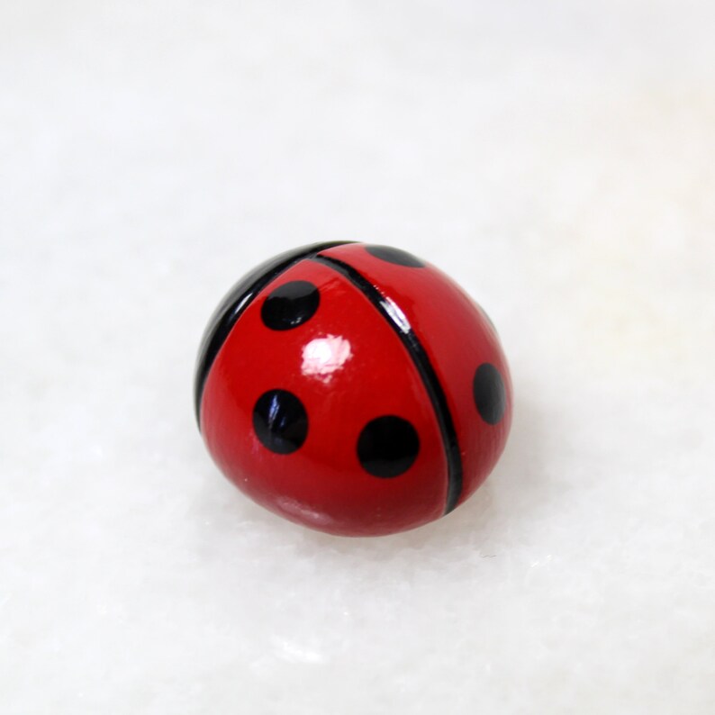 Chubby Garden Ladybug Terrarium Figurines Polymer Clay - Etsy