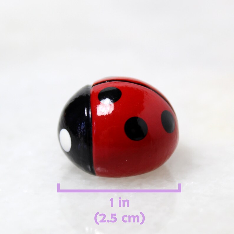 Chubby Garden Ladybug Terrarium Figurines Polymer Clay - Etsy