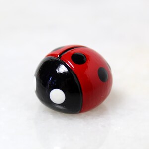 Chubby Garden Ladybug Terrarium Figurines Polymer Clay - Etsy