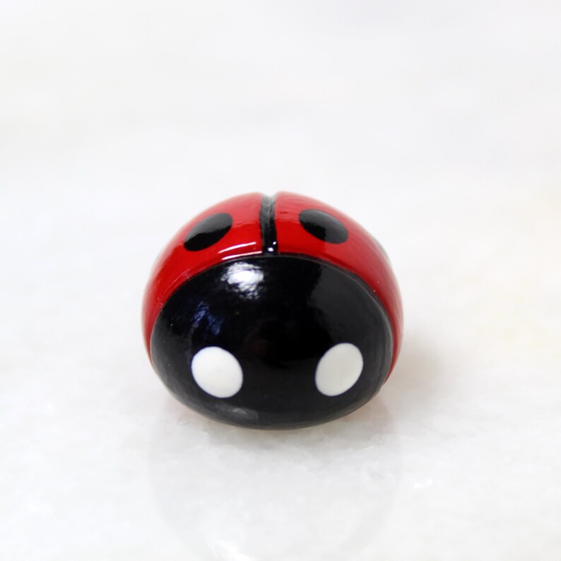 Chubby Garden Ladybug Terrarium Figurines Polymer Clay - Etsy
