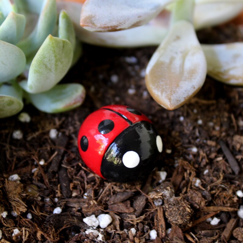 Chubby Garden Ladybug Terrarium Figurines Polymer Clay - Etsy