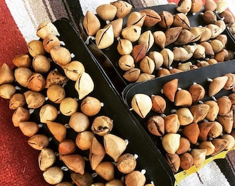 Hueseras Chachayotes Ayoyotes Ayotl Coyoleras Size Large - Etsy