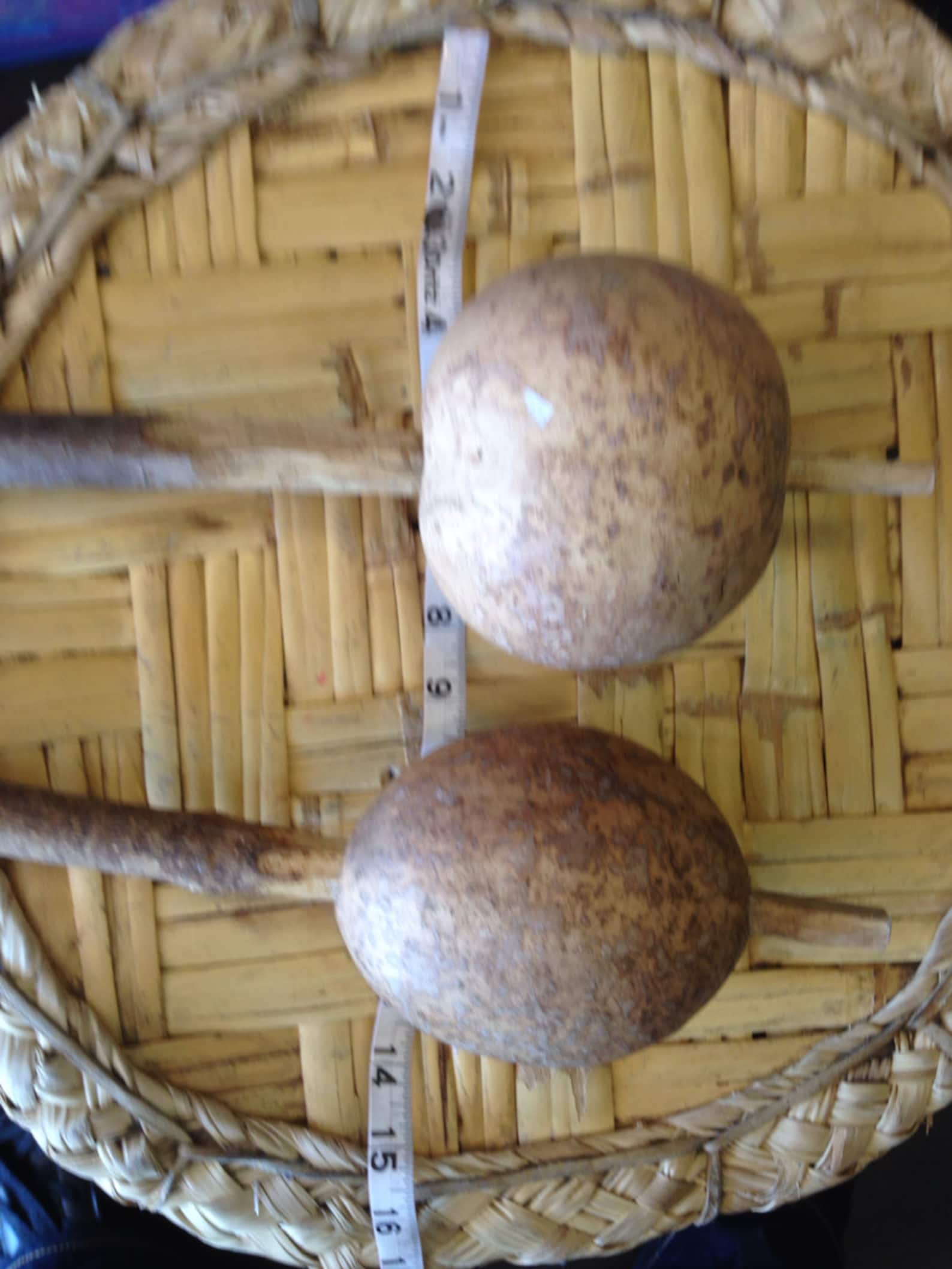 Gourd Rattle Native Ayacaxtli Mexica - Etsy