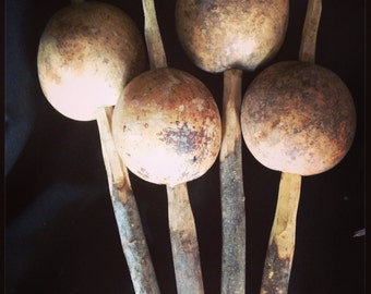 Gourd Rattle, Native American, Southwestern Rattle, Pueblo Gourd ...