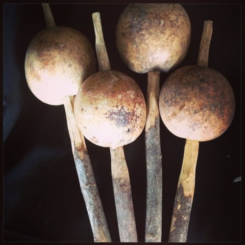 Gourd Rattle Native Ayacaxtli Mexica - Etsy
