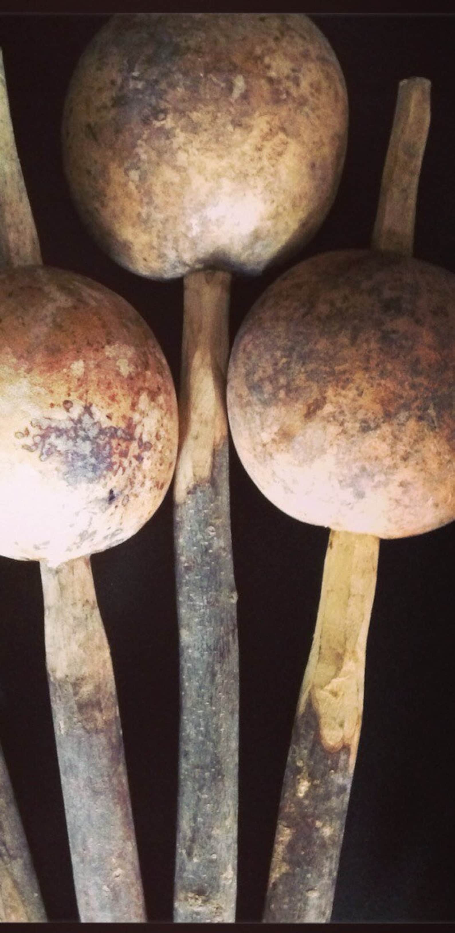 Gourd Rattle Native Ayacaxtli Mexica - Etsy