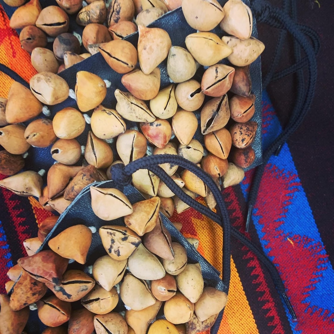 Hueseras Chachayotes Ayoyotes Ayotl Coyoleras Size Xsmall - Etsy