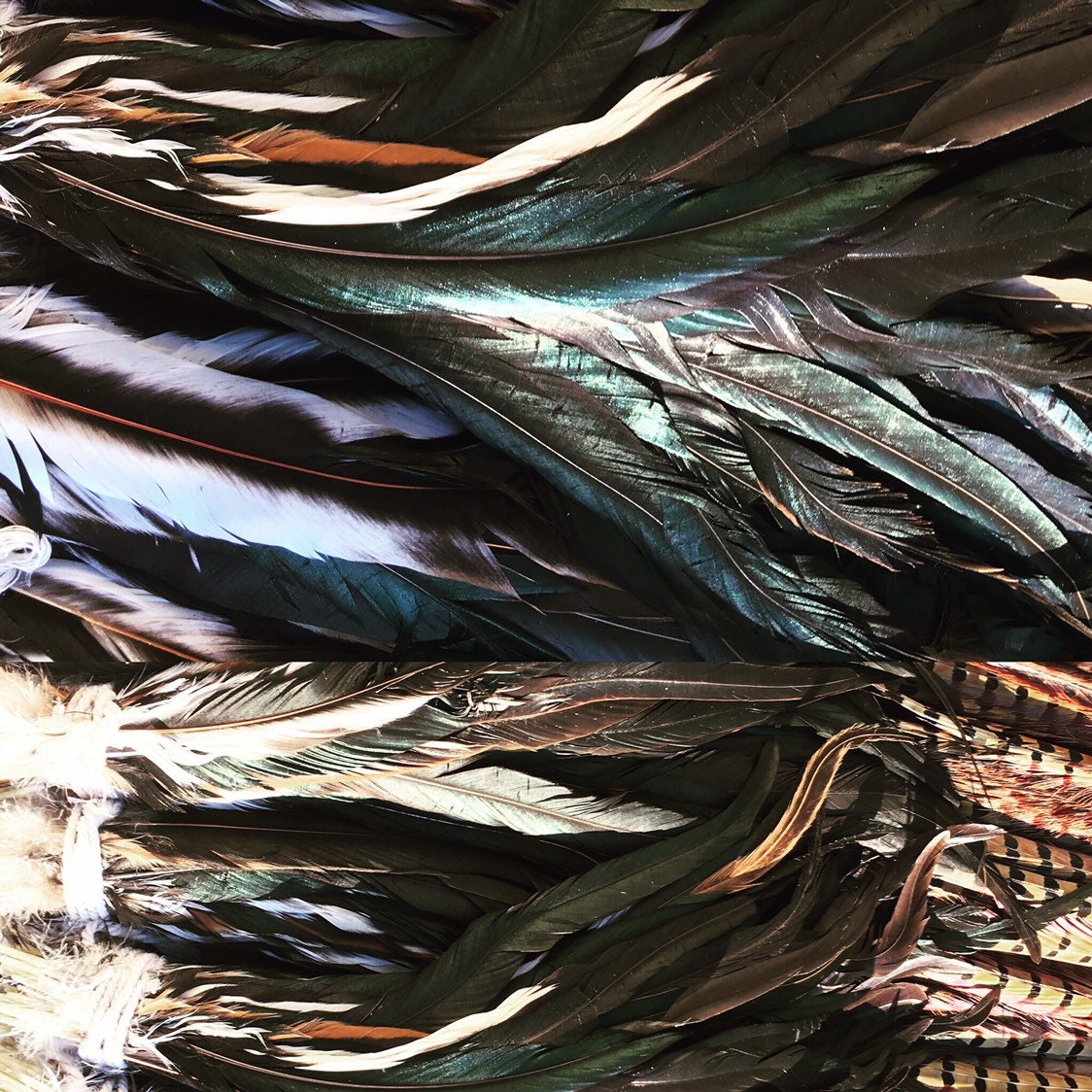 Natural Black Coque Rooster Tail Feathers Super Long | Etsy