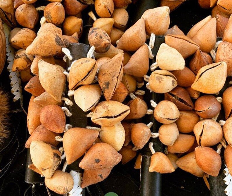 Rattle native ayacaxtli Mexica | Etsy