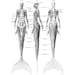 Mermaid Anatomy Bundle - Skeleton & Musculature - Etsy