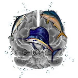 Abstract Anatomy Swordfish Sailfish Mahi-mahi Dolphin Water Ripple ...