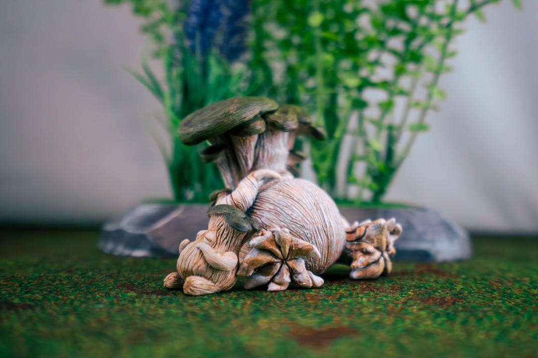 Ralphy the Baby Oyster Piltz Gnome Mushroom - Etsy