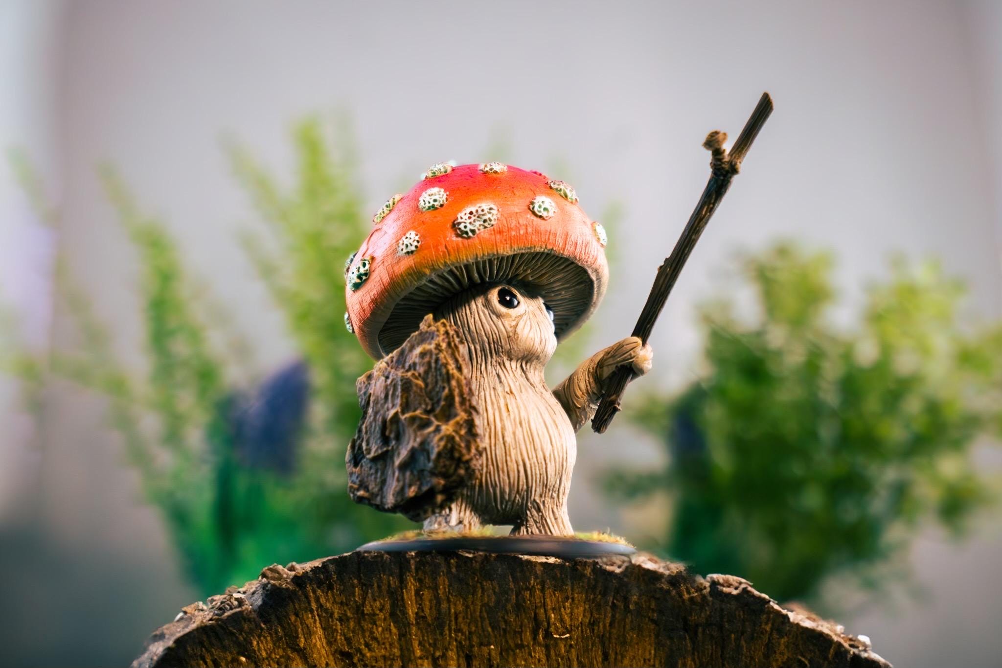 Mushroom Figurine Redcap Piltz Gnome Lissel the Hero - Etsy