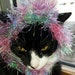 Hand Knit Fuzzy Rainbow Hat for Cats - Etsy