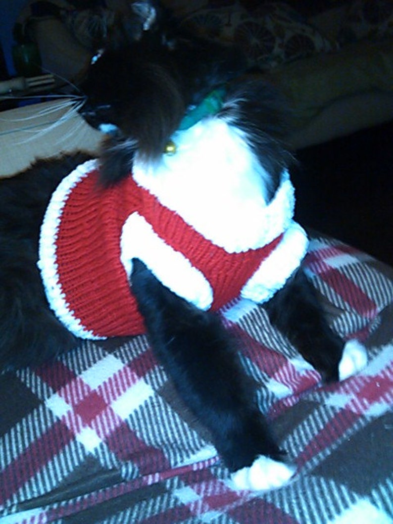 Hand Knit Red and White Santa Sweater for Cats or Small Dogs - Etsy