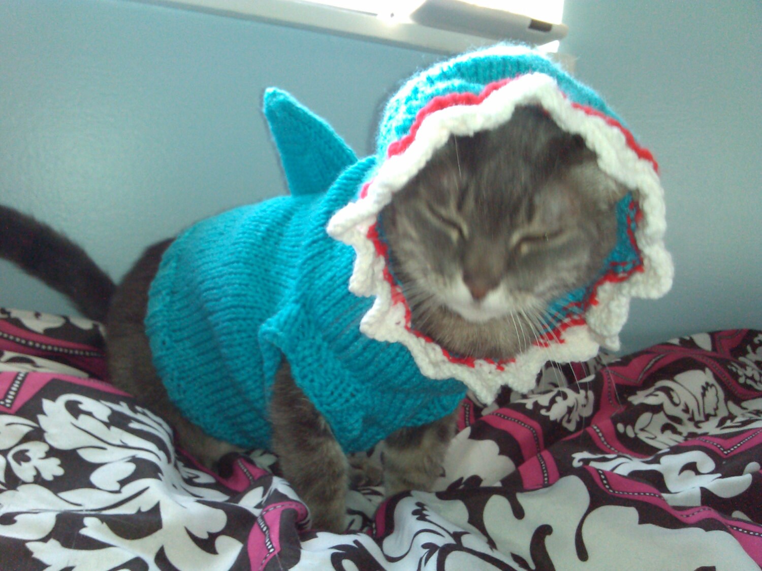 Hand Knit Shark Costume for Cats or Small Dogs Multiple | Etsy