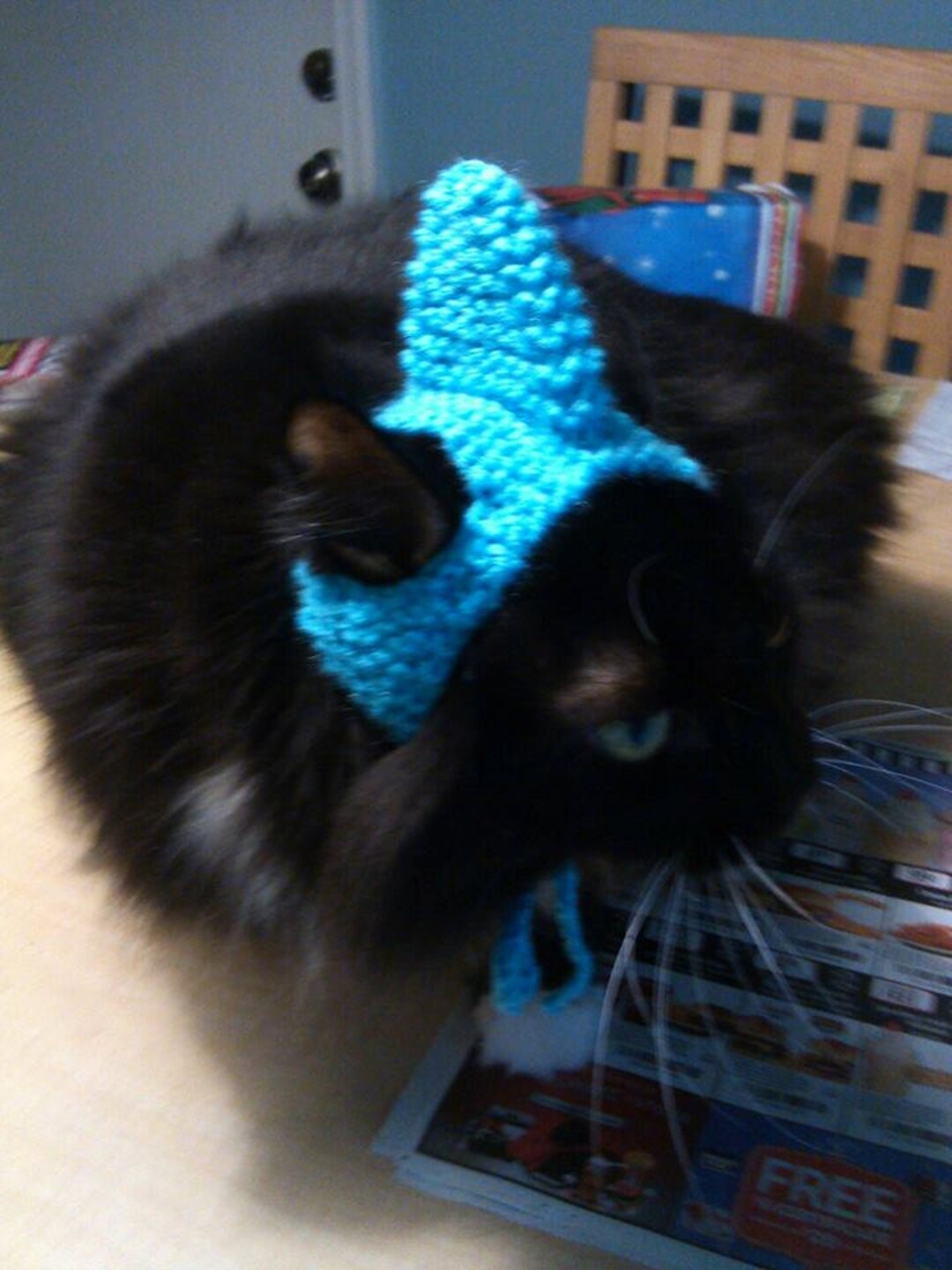 Hand Knit Light Blue Shark Fin Hat for Cats - Etsy