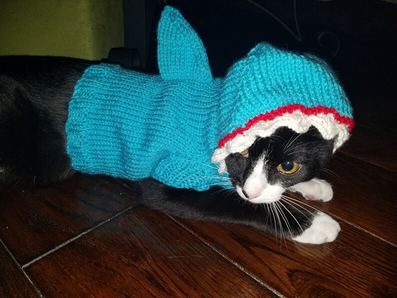 Hand Knit Shark Costume for Small Cats, Kittens, or Very Small Dogs - Etsy