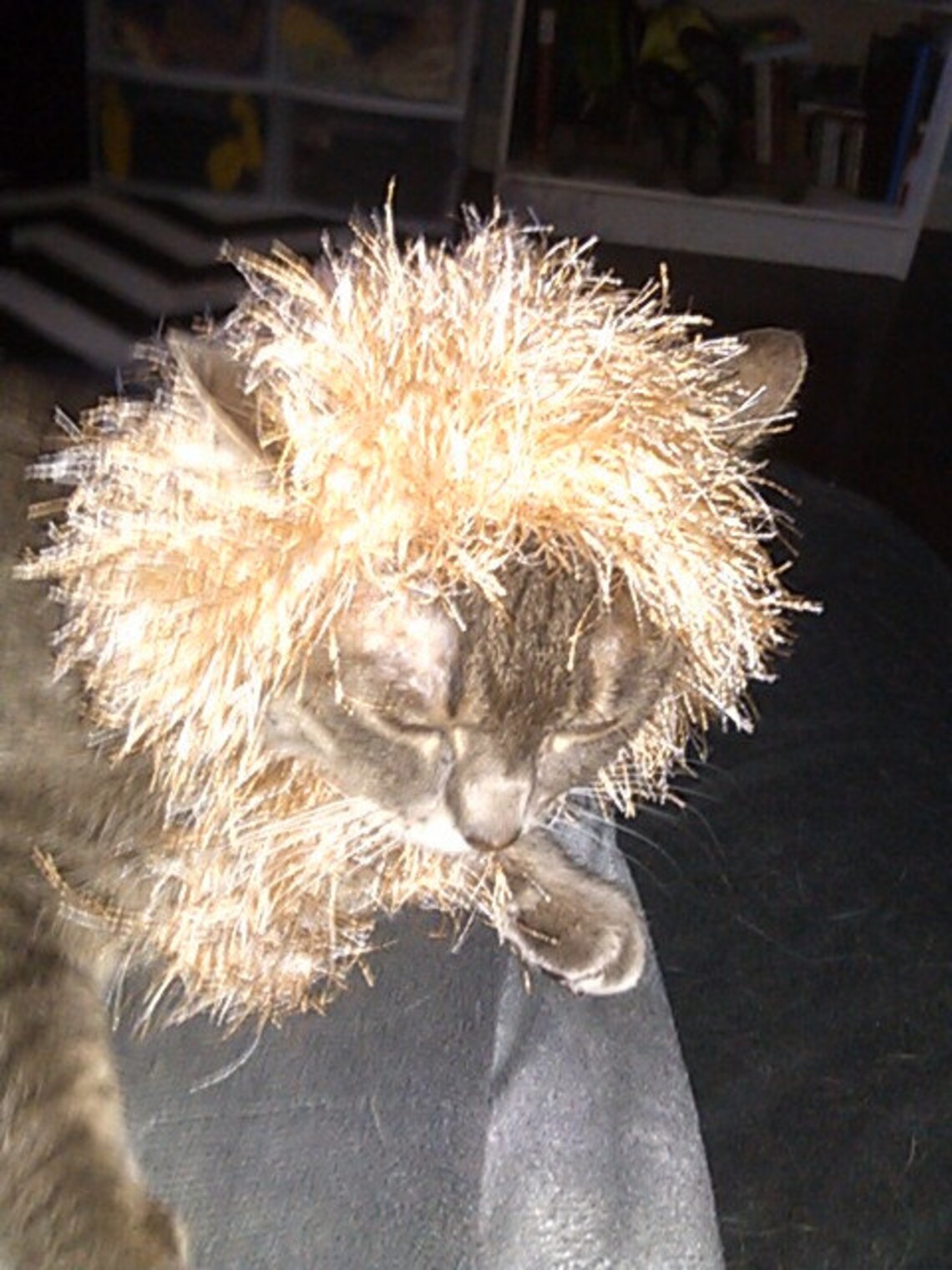 Hand Knit Lion Mane Hat for Cats Multiple Colors Available | Etsy