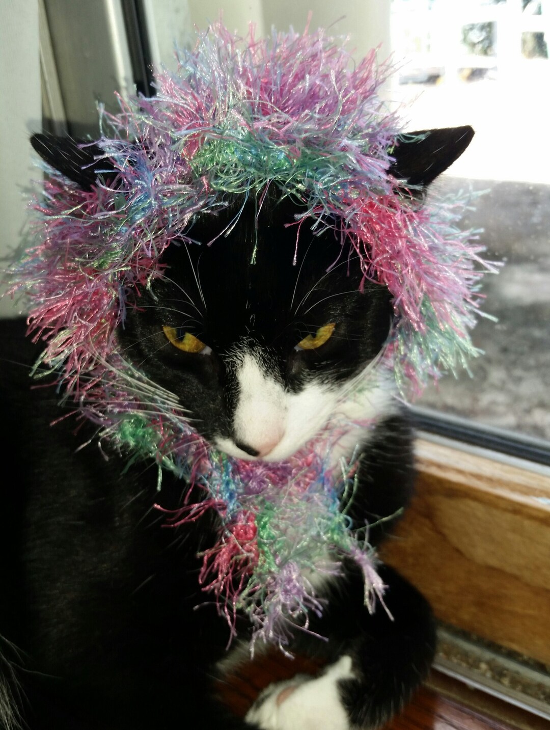 Hand Knit Fuzzy Rainbow Hat for Cats - Etsy