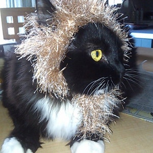 Hand Knit Lion Mane Hat for Cats - Multiple Colors Available - Etsy