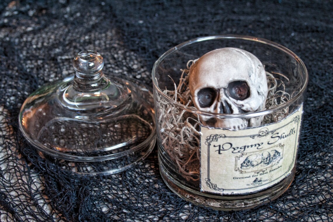 Pygmy Skull Jar - Etsy